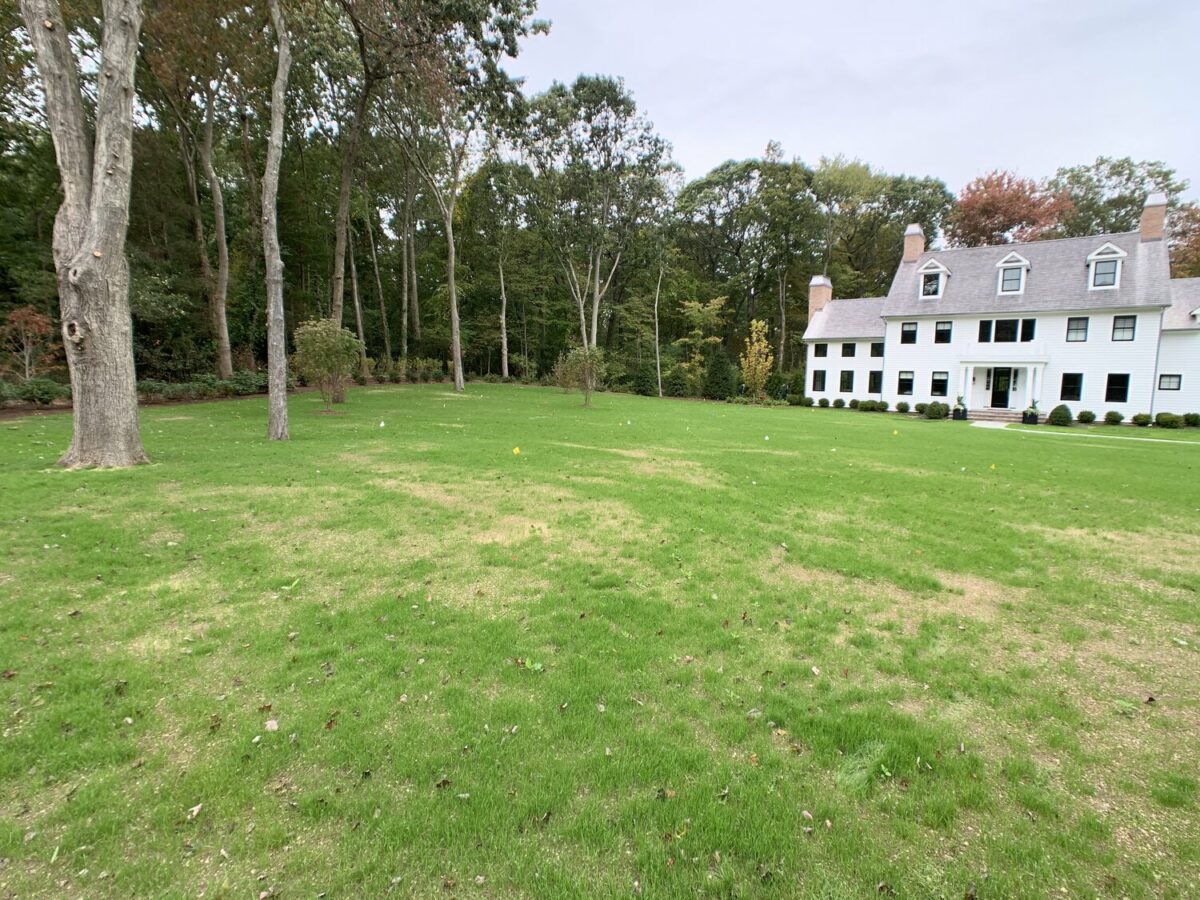 Turf Services - Main Street Nursery