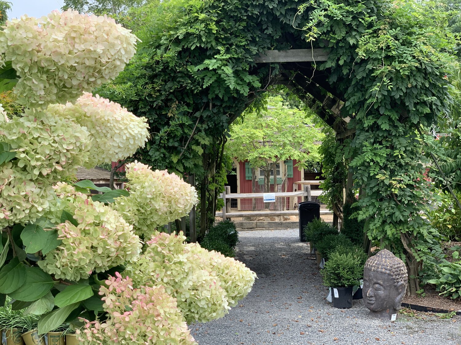 The Garden Center - Main Street Nursery