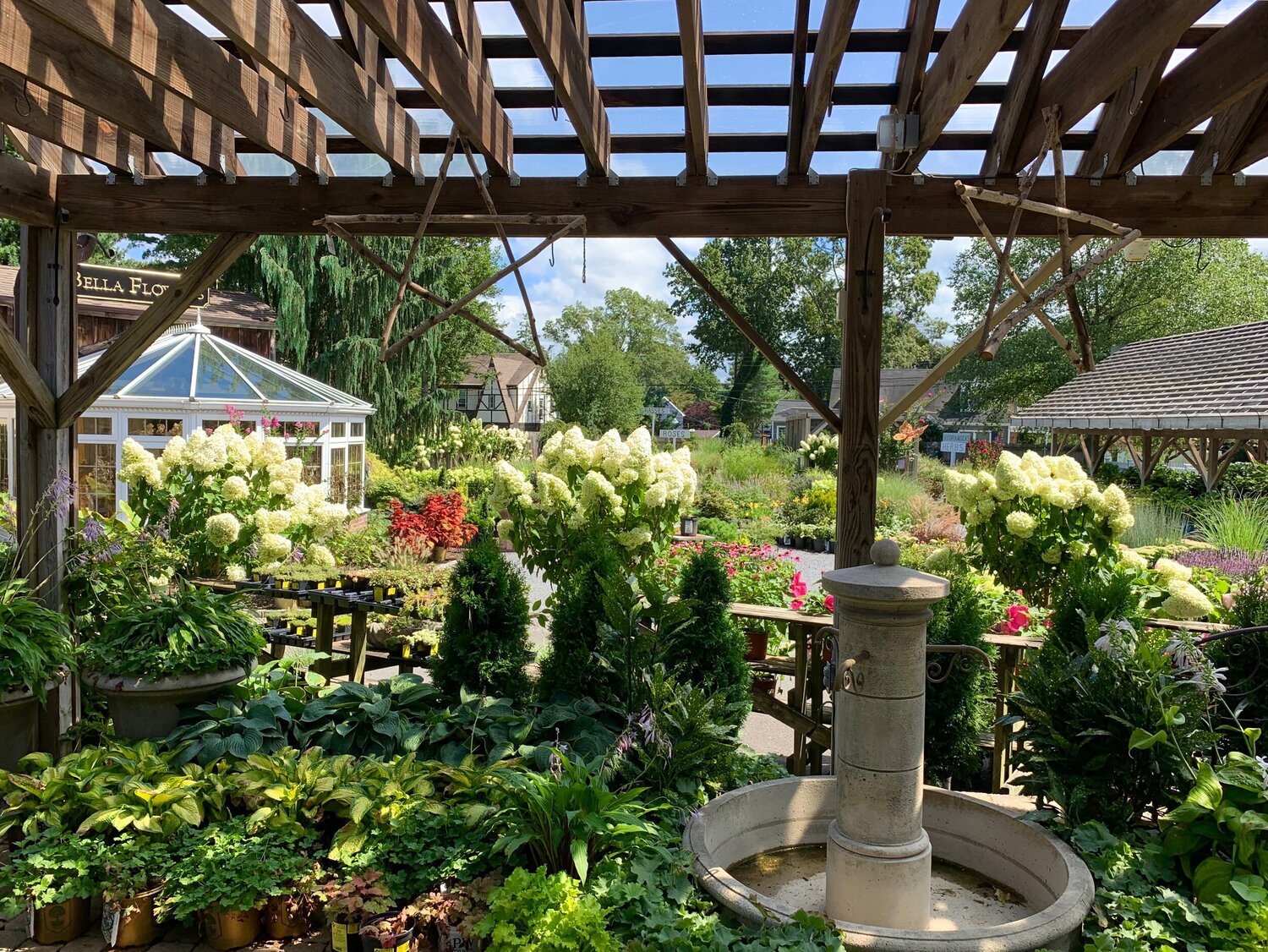 The Garden Center - Main Street Nursery