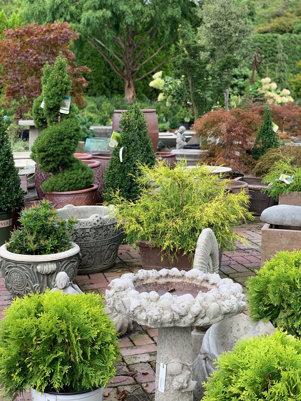 The Garden Center - Main Street Nursery