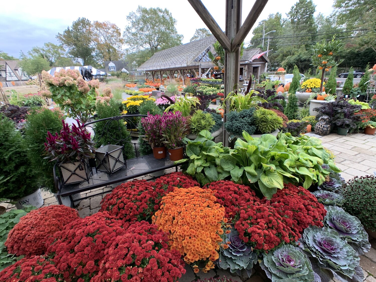 The Garden Center - Main Street Nursery